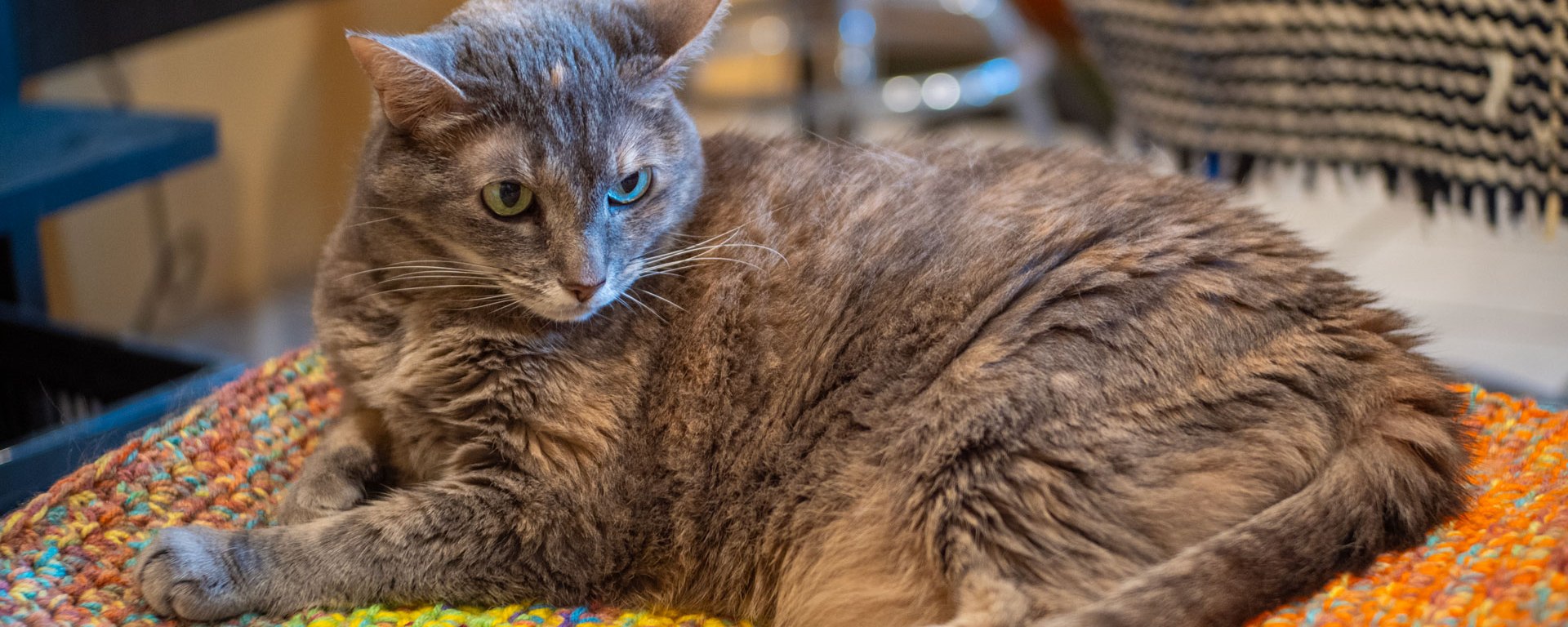 Coffee & Headlines • June 12, 2024 – Paco Ojeda